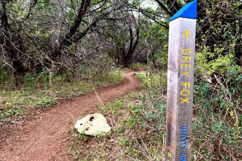 Gallery - Campus Trailhead
